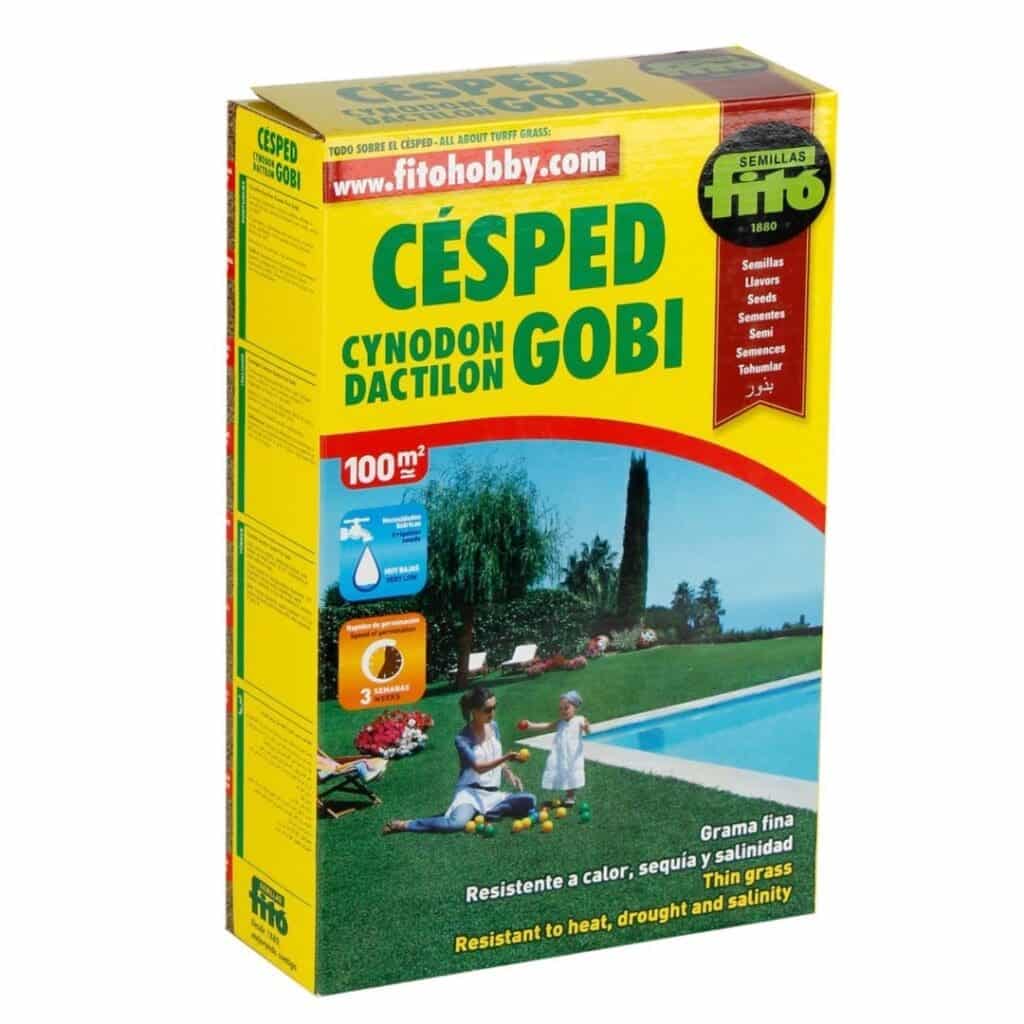Fito Cynodon Dactylon Bermuda Grass Seeds – blozem